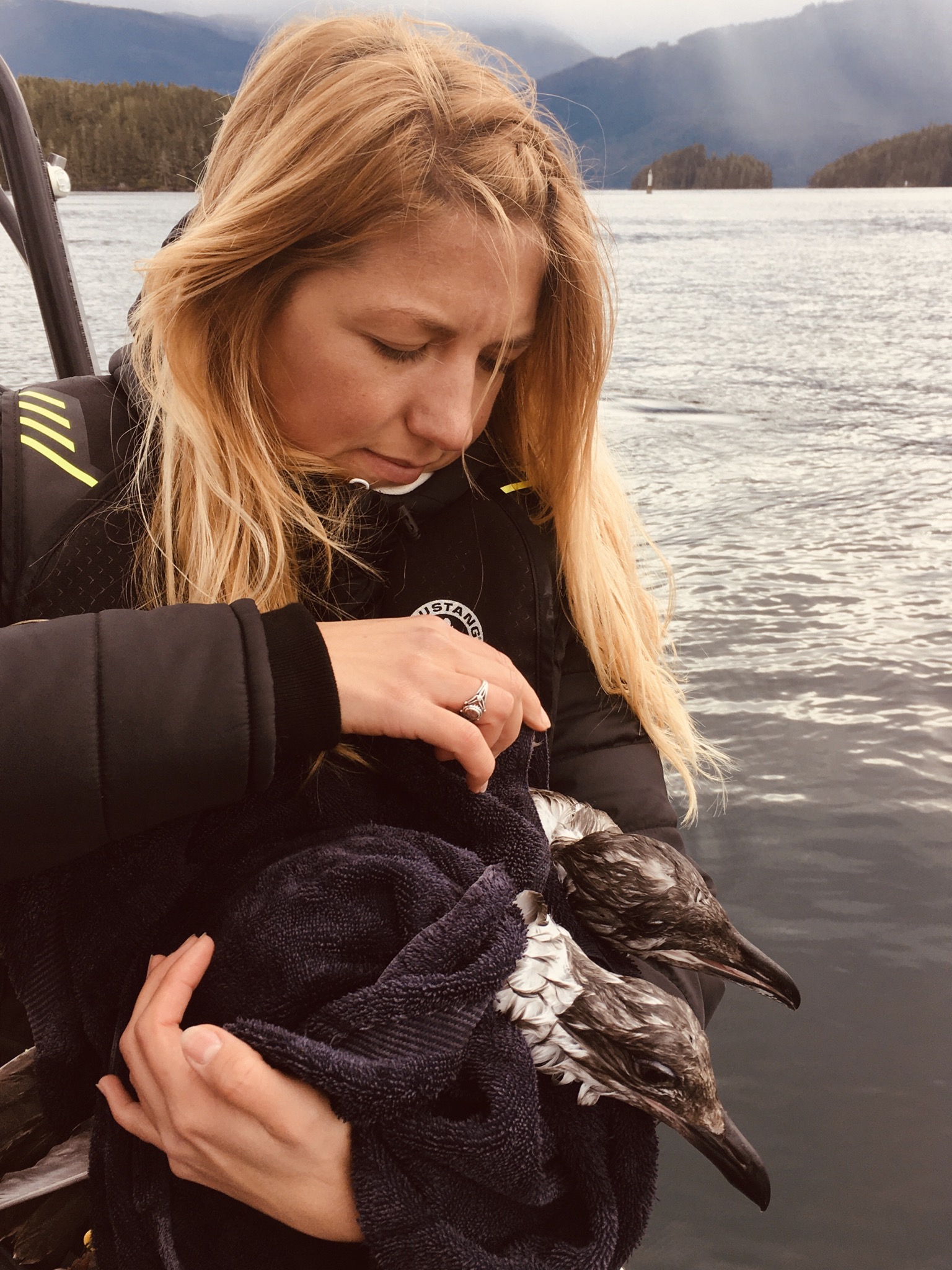 A Humpback With 11 Birds in His Mouth? | MERS Marine Education ...